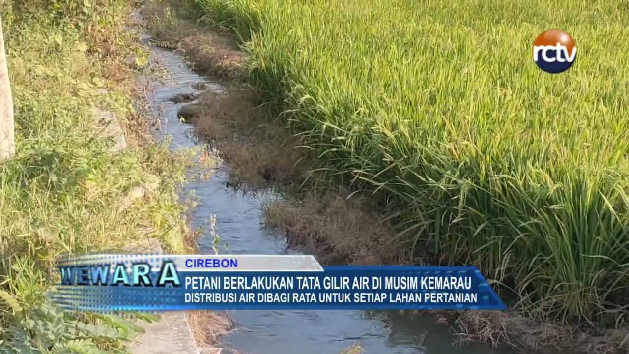 Petani Berlakukan Tata Gilir Air Di Musim Kemarau