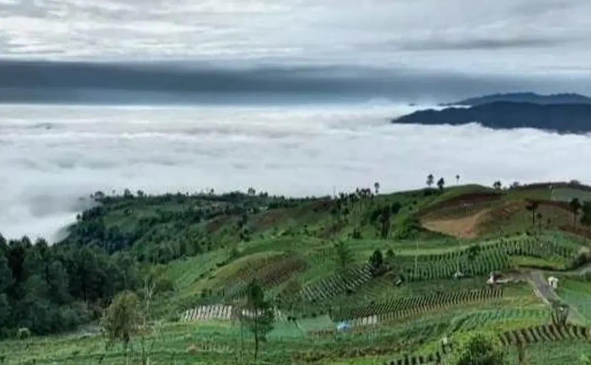 Bukit Kanaga Majalengka, Destinasi Wisata Spot Kemah Dengan Panorama ...