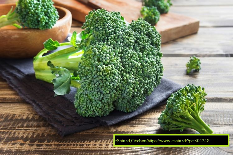Untuk Bunda dan Tante , Kenali 7 Cara Memilih Sayur Brokoli Yang Baik