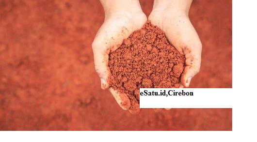 Tanah Merah Yakni Tanah Yang Banyak Mengandung Logam Khususnya Besi Dan ...