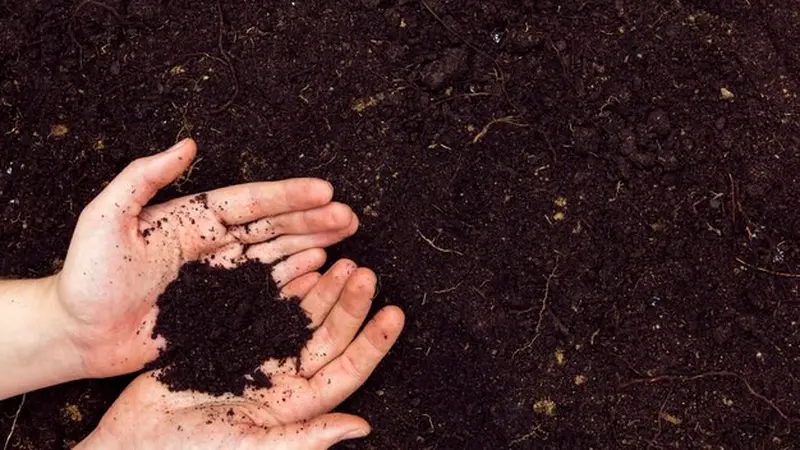 3 Jenis Tanah Yang Ada Di Indonesia,Yuk Simak Apa Saja.