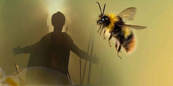 Kisah Sahabat Nabi Muhammad SAW Ashim bin Tsabit yang Jasadnya di Jaga ...