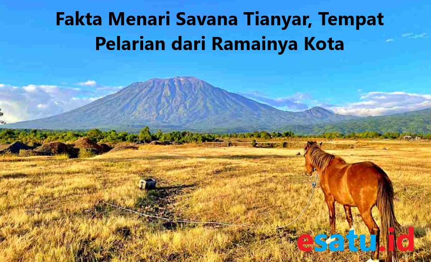 Pemandangan Alam yang Tidak Bisa Kamu Lupakan: Inilah Fakta dari Savana ...
