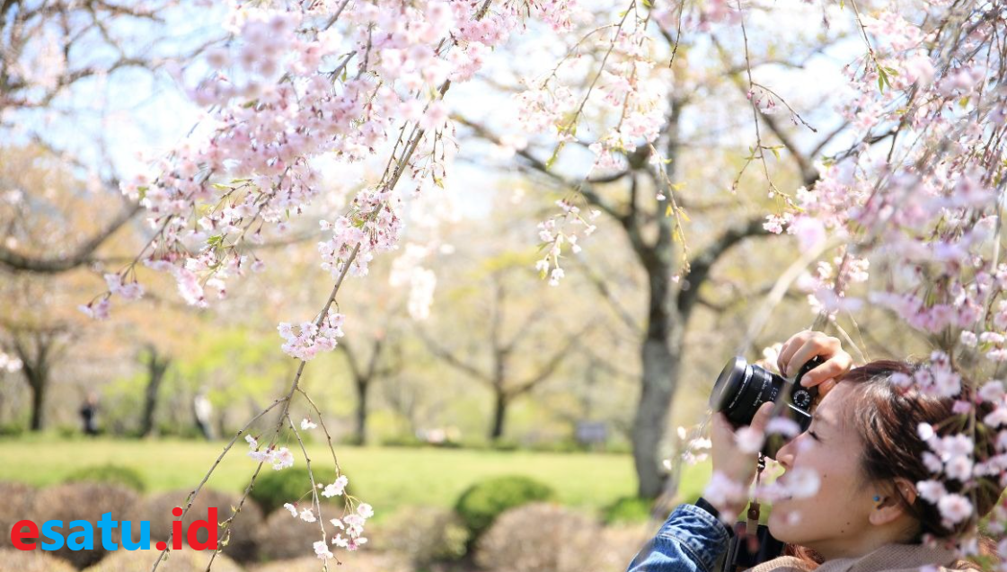 Abadikan Setiap Momen Lewat Kamera: Inilah Tips Fotografi untuk ...