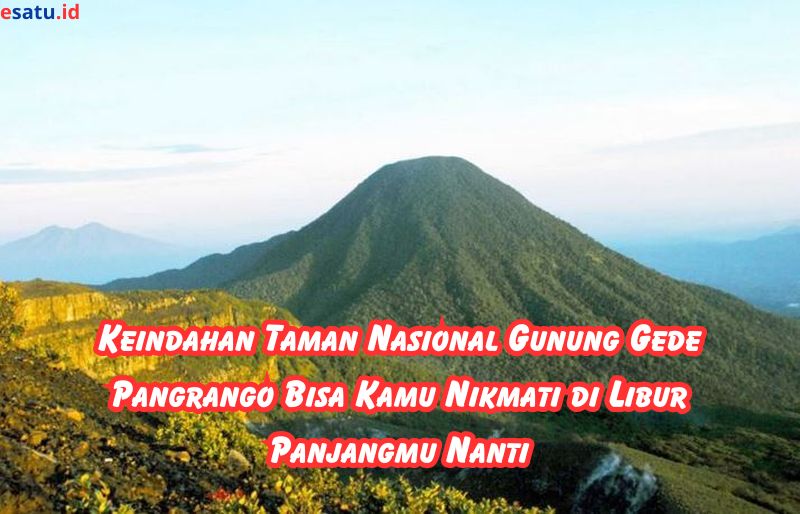 Keindahan Alami yang Memukau: Taman Nasional Gunung Gede Pangrango Bogor