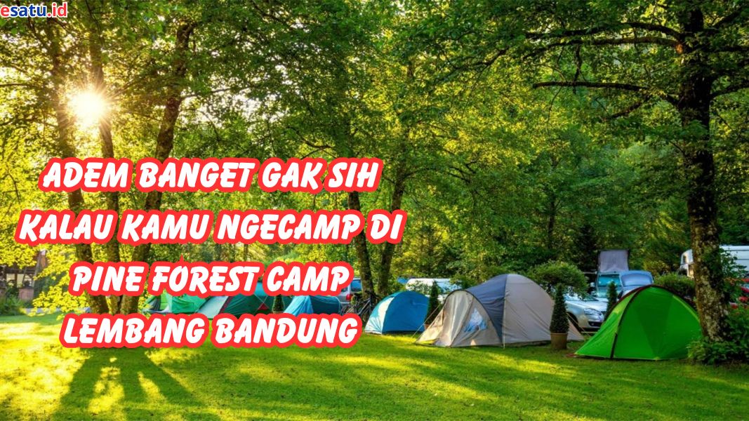 Memperkenalkan Keindahan dan Pesona Pine Forest Camp Lembang, Bandung