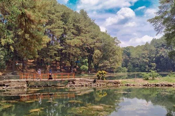 Telaga Remis: Pesona Alam yang Memikat di Kuningan, Jawa Barat