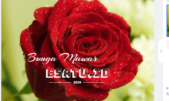 Tidak Hanya Cantik Ternyata Wangi Sekali Ya ! Ini Dia Ciri Ciri Bunga ...