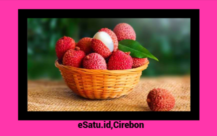 Fakta Menarik Mengenai Buah Leci Di Negara Tropis Yang Memiliki Banyak ...