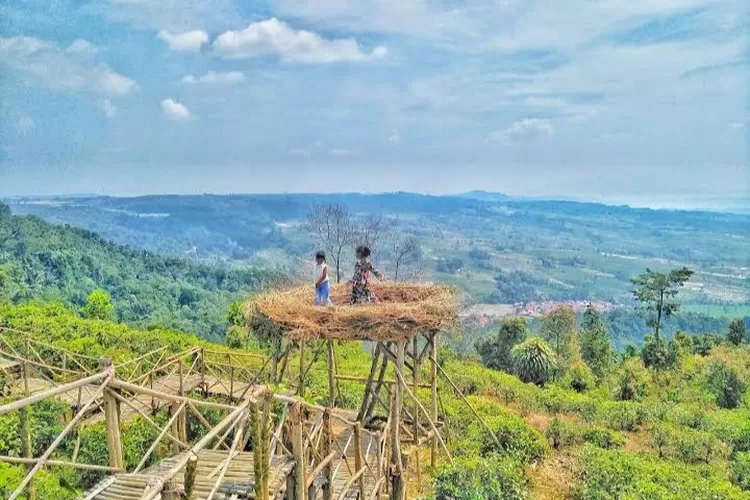 Bukit Katumbiri di Purwakarta: Keindahan Alam yang Memikat