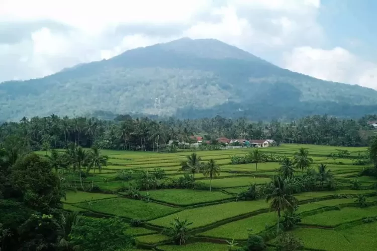 Menakjubkannya Keindahan Alam Gunung Pulosari Banten: Destinasi Wisata ...