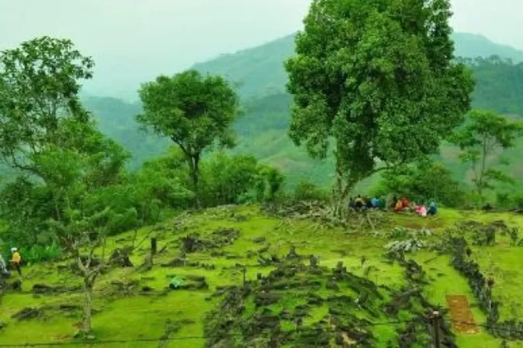 Eksplorasi Keindahan Alam: Perkebunan Teh Gunung Rosa Cianjur