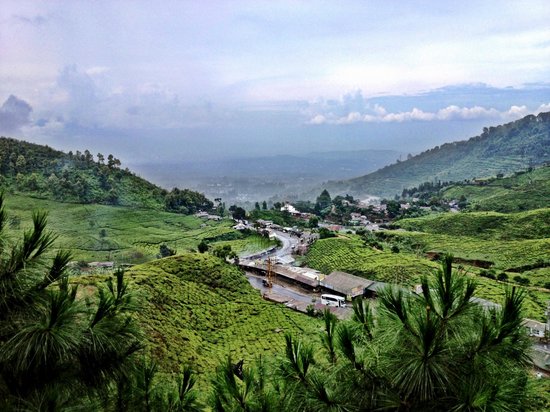 Puncak Rindu Alam: Memeluk Keindahan Alam Cianjur