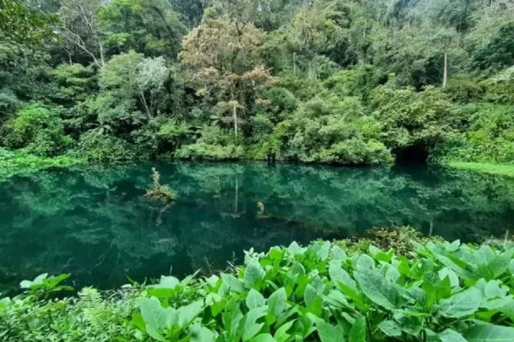 Telaga Biru Cianjur: Keindahan Alam yang Menawan di Tengah Kota